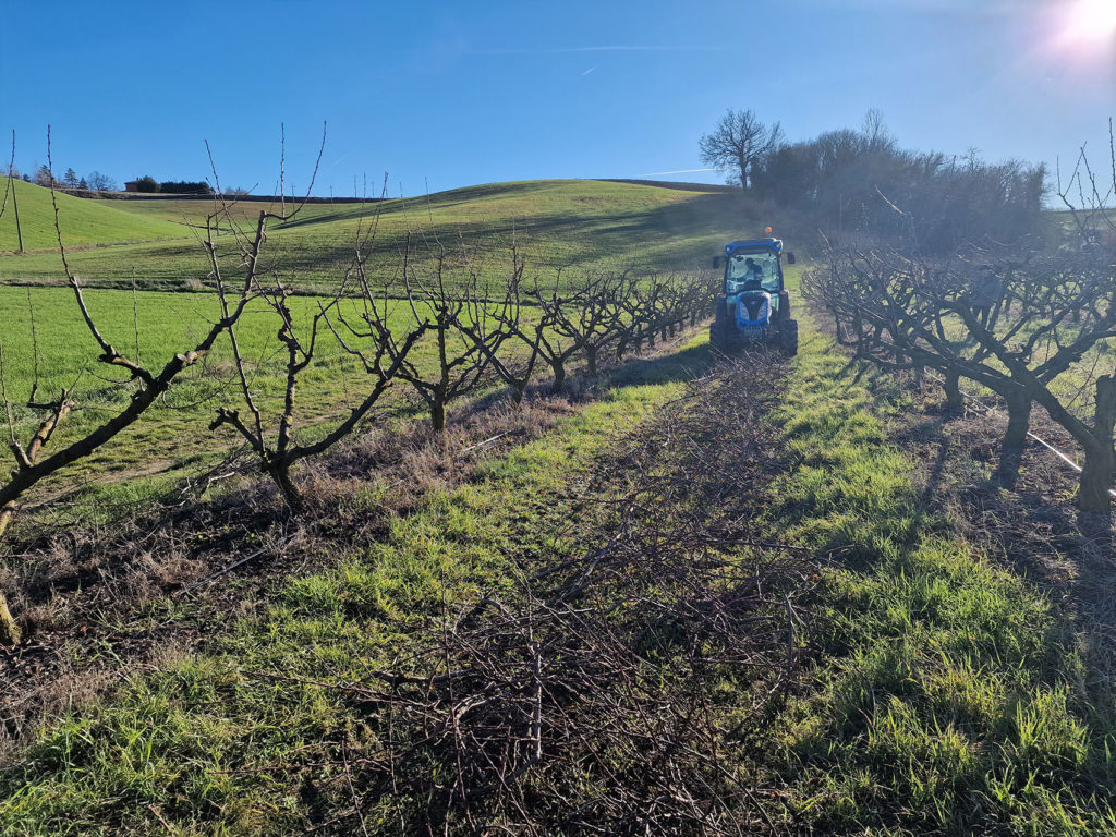 PUCK CON PICK-UP - Falc macchine agricole